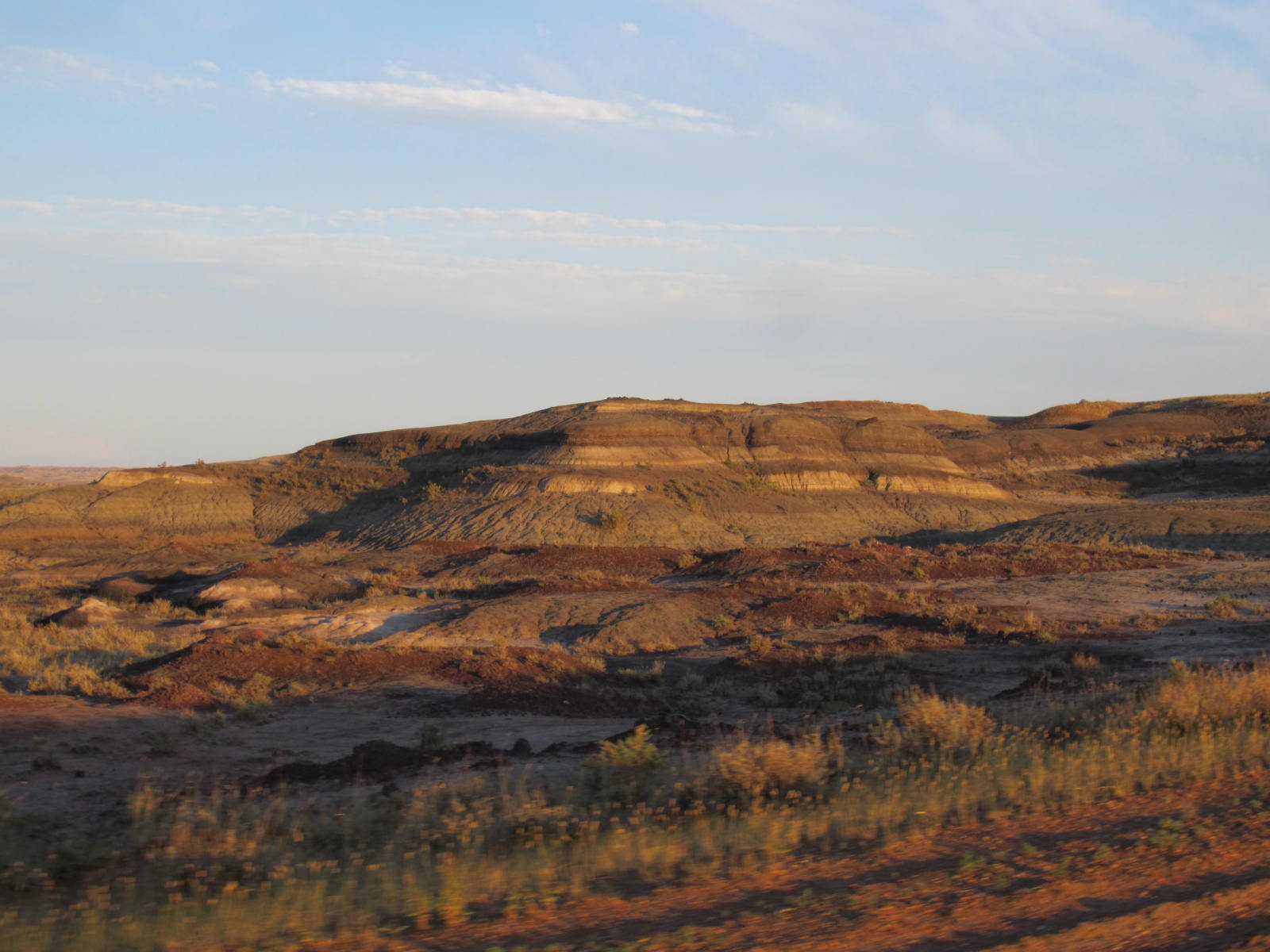 Moving Through the Montana Prairie · Nebraska Wheatie